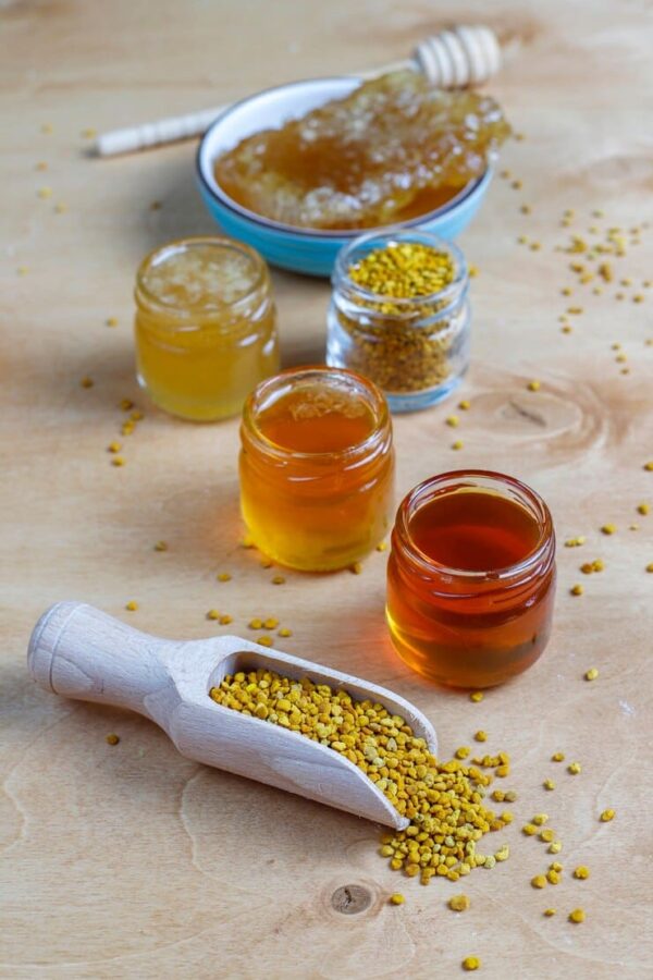 ¿Cómo hacen la miel las abejas? Descubre su proceso paso a paso